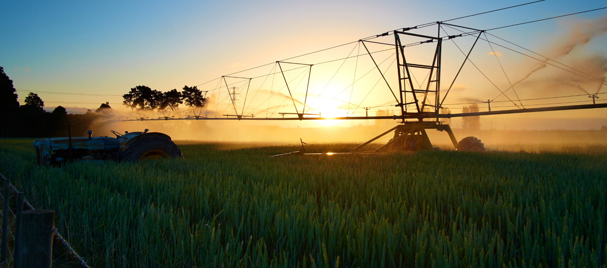 Guide to 2025/26 Stink Bug Season (Bmsb)