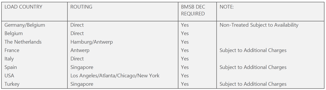 Guide to 2024/25 Stink Bug Season (Bmsb)
